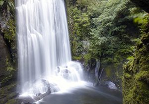 lake-waikaremoana-track-chris-mclennan-tourism-nz | Saiba tudo sobre ...