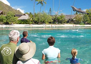 moorea-dolphin-center | Saiba tudo sobre viagens | Blog CVC