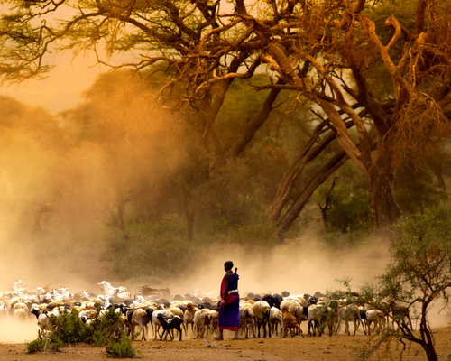 quenia turismo_154715039 | Saiba tudo sobre viagens | Blog CVC