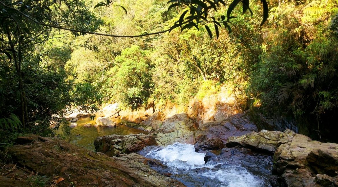 Mata Atlântica | Saiba tudo sobre viagens | Blog CVC