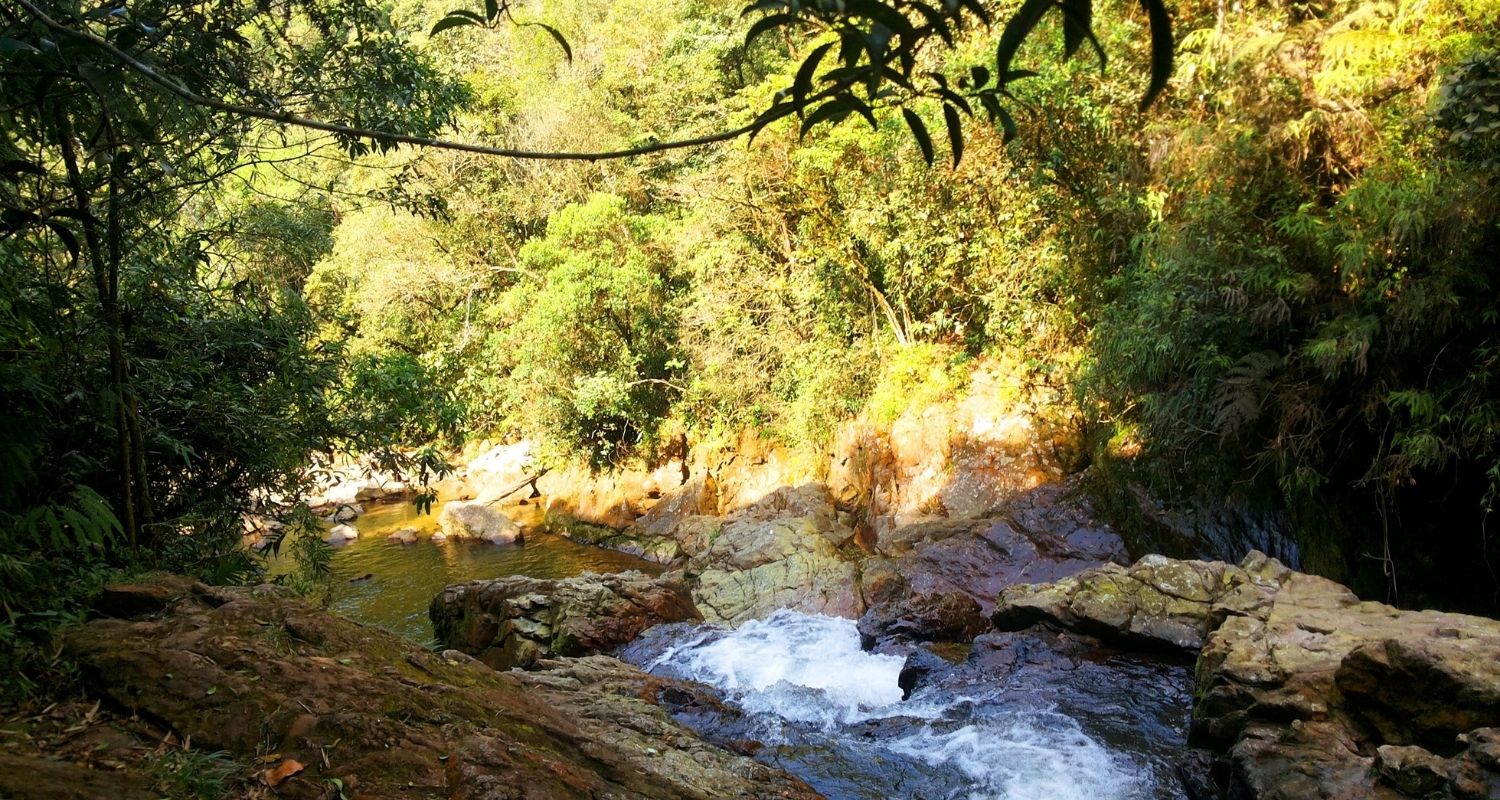 Abre – Mata Atlântica | Saiba tudo sobre viagens | Blog CVC