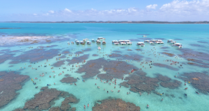 Maragogi: onde fica, quando ir, quantos dias ficar | Saiba tudo sobre ...