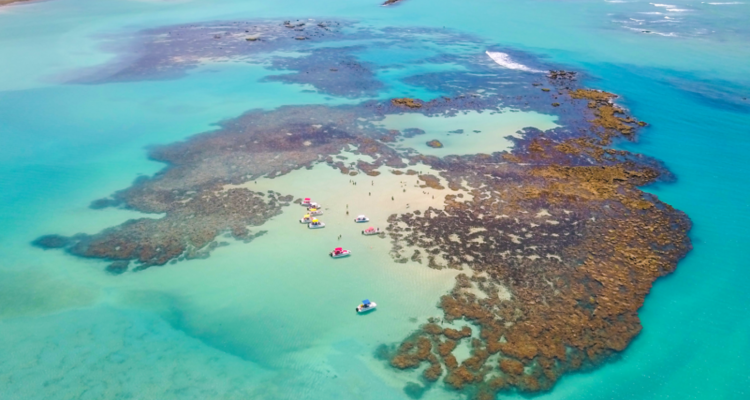 maragogi-onde-fica-quando-ir-quantos-dias-ficar | Saiba tudo sobre ...