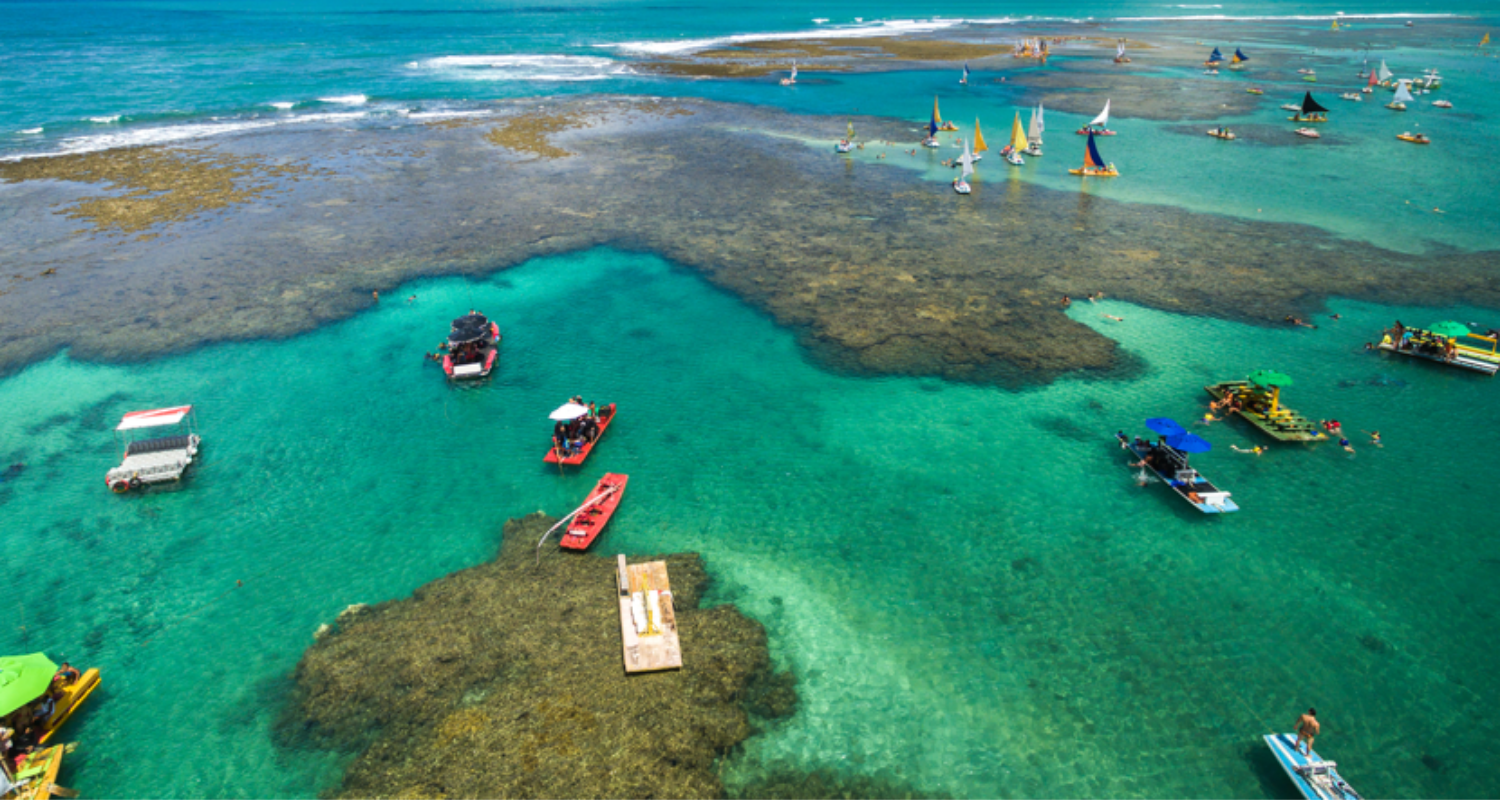 Maragogi: onde fica, quando ir, quantos dias ficar | Saiba tudo sobre ...