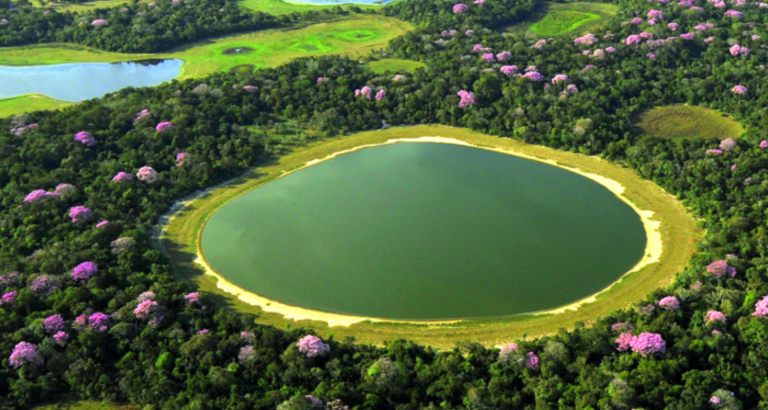 Tudo sobre o Pantanal: onde fica, quando ir, o que fazer e mais | Saiba ...