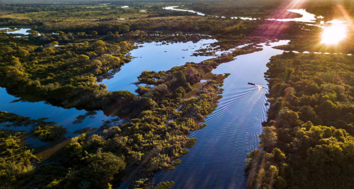 Tudo Sobre O Pantanal Onde Fica Quando Ir O Que Fazer E Mais Saiba