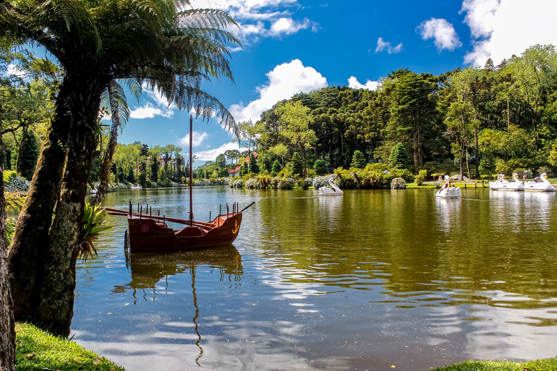 CVC pacotes 2022: aproveite nossa promoção de 50 anos no Dia do Cliente