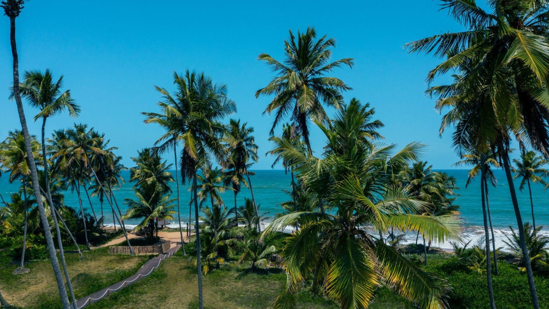 Navegue pelo Rio Amazonas com o Iberostar Heritage Grand Amazon | Saiba ...