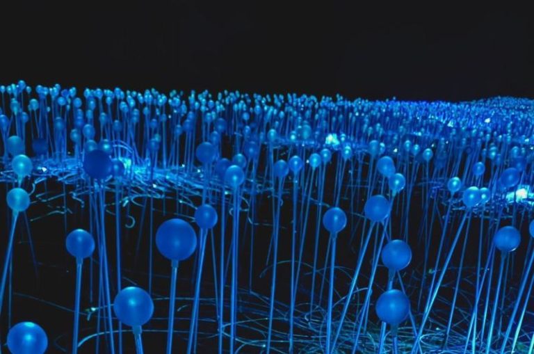 Novas atrações em Gramado: Acqua Motion, Lumni Experience e mais