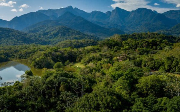 dia-nacional-da-mata-atlantica-geral | Saiba tudo sobre viagens | Blog CVC