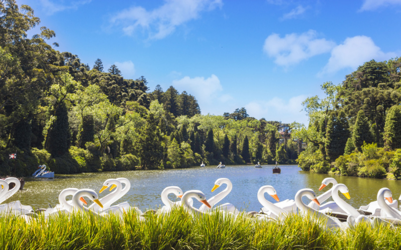 Inverno em Gramado: descubra os programas essenciais na cidade nessa época