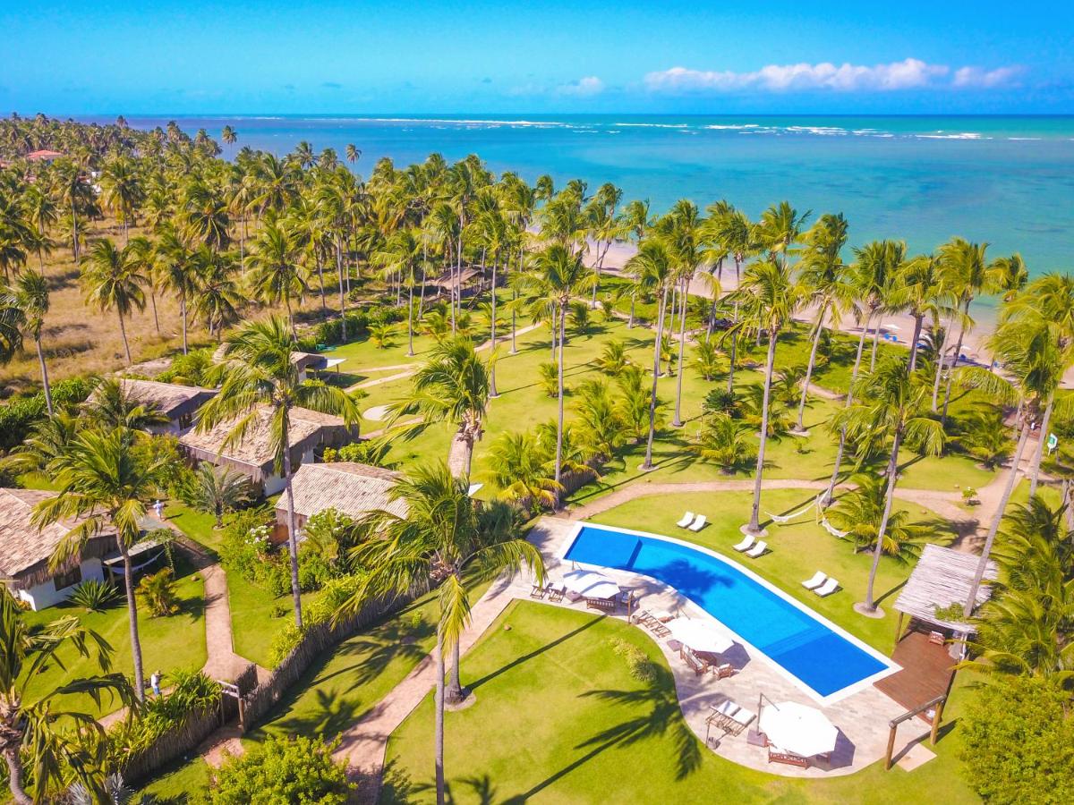 Praias de Alagoas : as melhores para visitar em 2025