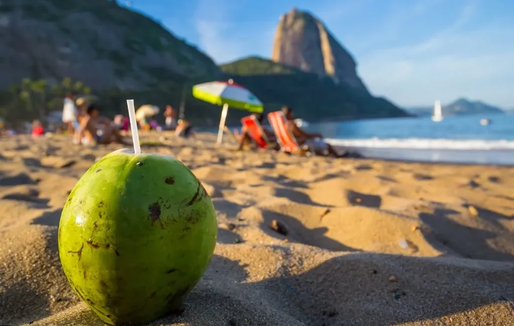 Praias do Rio de Janeiro: conheça as melhores | Blog CVC