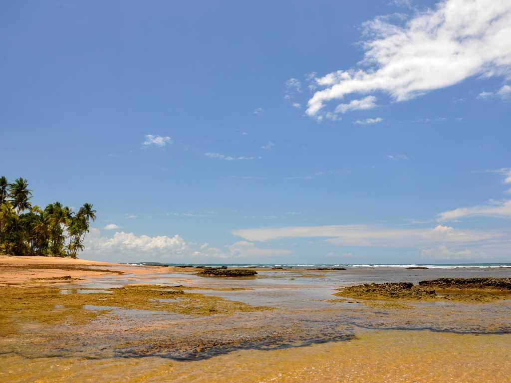 Taipu de Fora: conheça mais sobre esse paraíso! | Blog CVC
